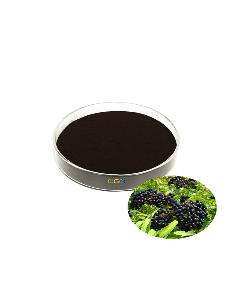 Plant Extract Supplier, Herbal Extract- Herb Green Health